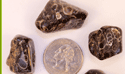 Turritella Agate Meanings and Uses | Crystal Vaults